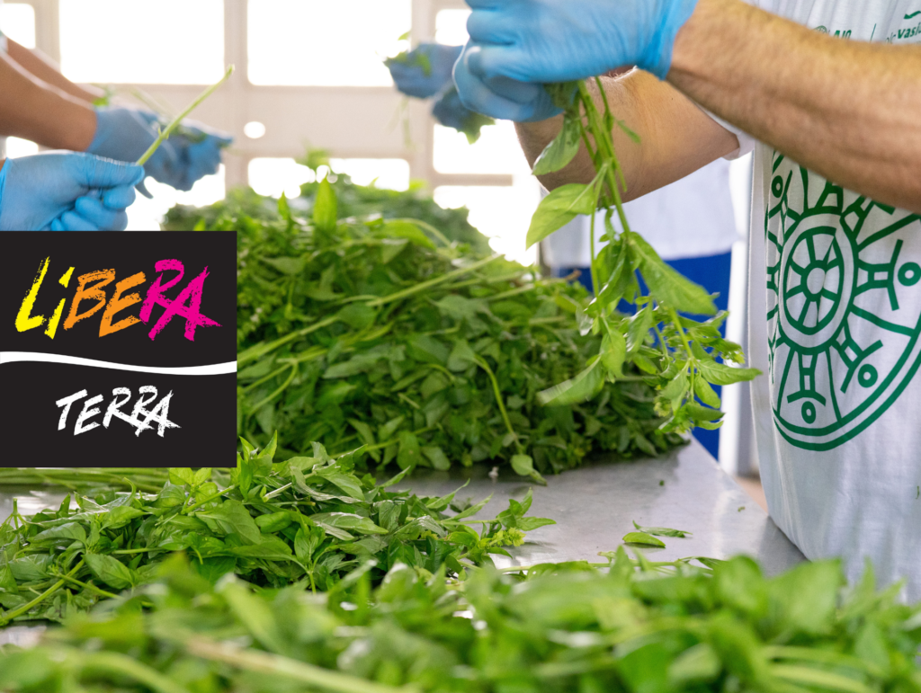 Libera Terra fa il suo ingresso nella filiera etica de L’Arcolaio